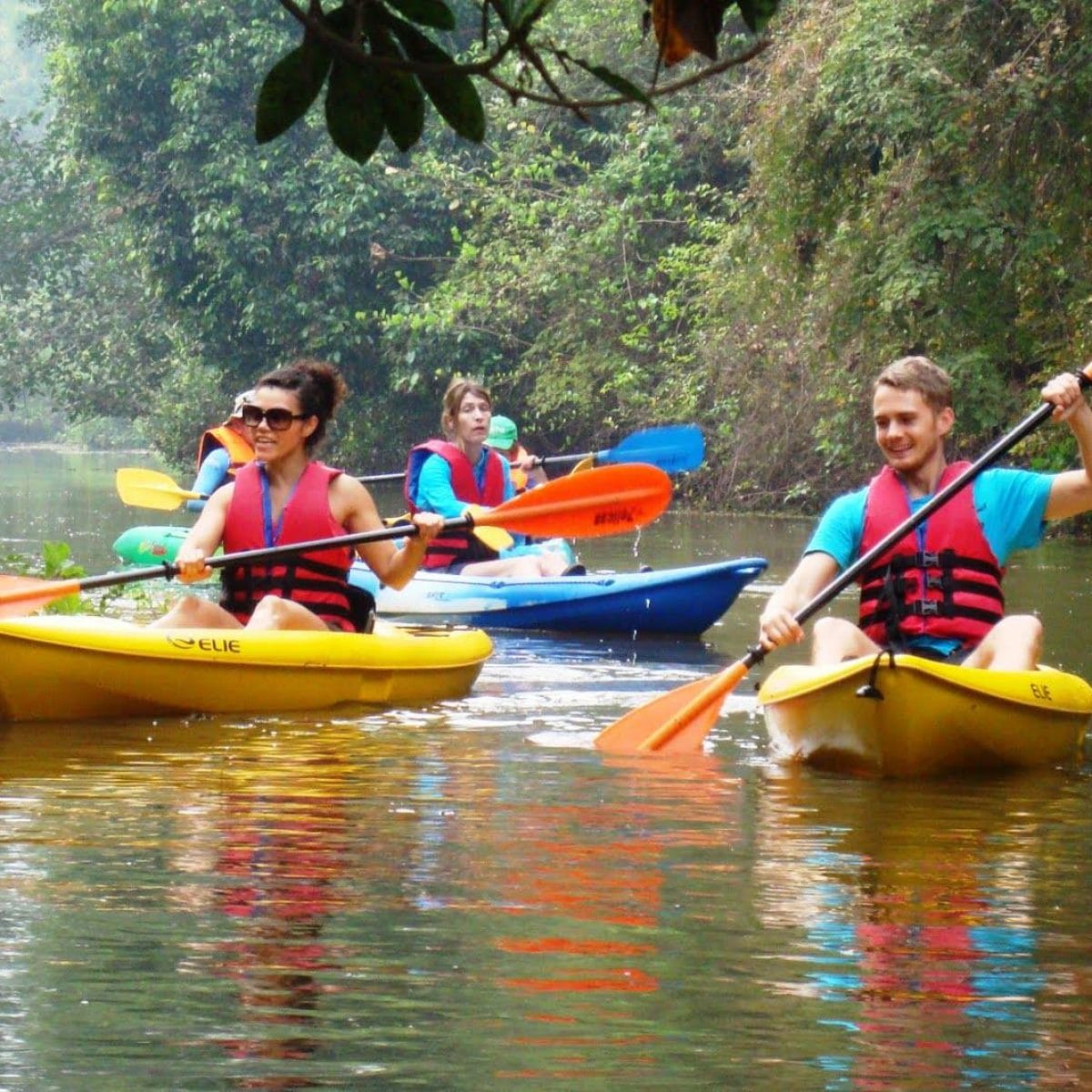 Backwaters, Kerala. The best things to do in Kerala Backwaters Sanchari ...