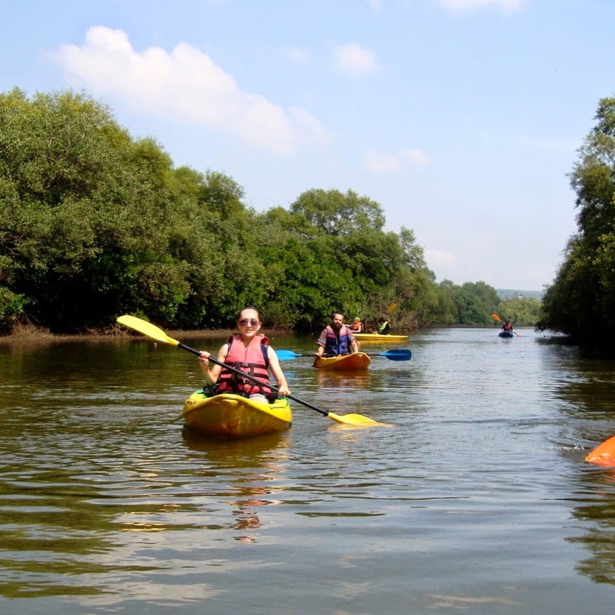 31 Best things to do in Alleppey - Sanchari Travels and Actvities