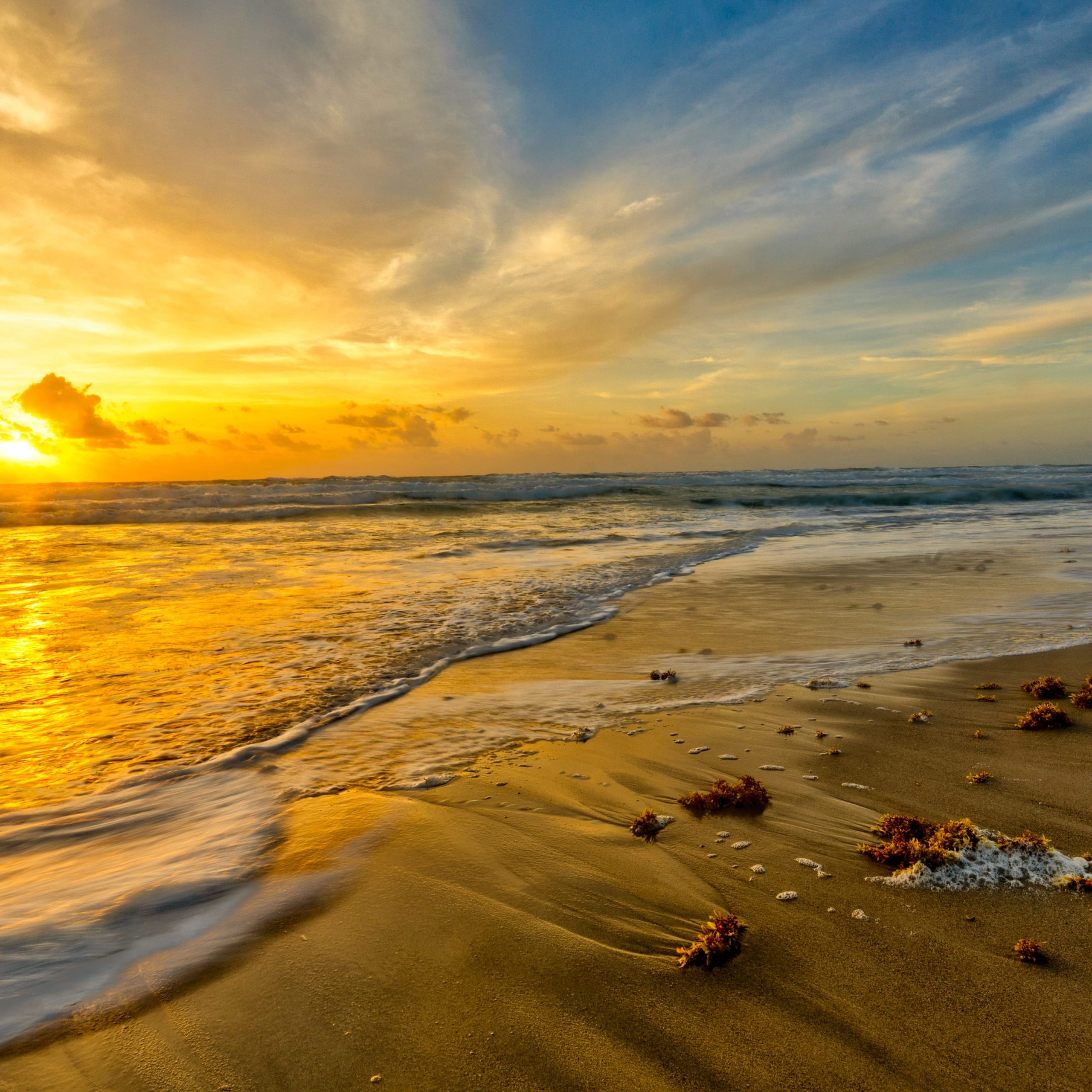 Alleppey Beaches - A List of Best Beaches in Alleppey